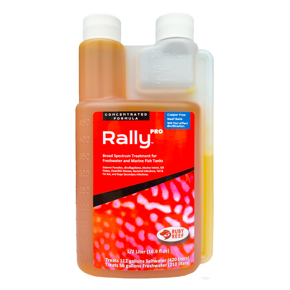 RUBY REEF RALLY PRO 32OZ | galloreef.com