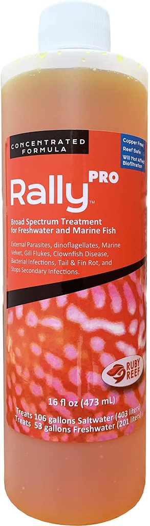RUBY REEF RALLY PRO 16OZ | galloreef.com